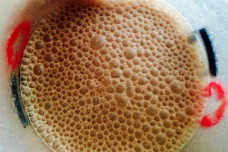 Maximuscle Cyclone Protein Powder Review